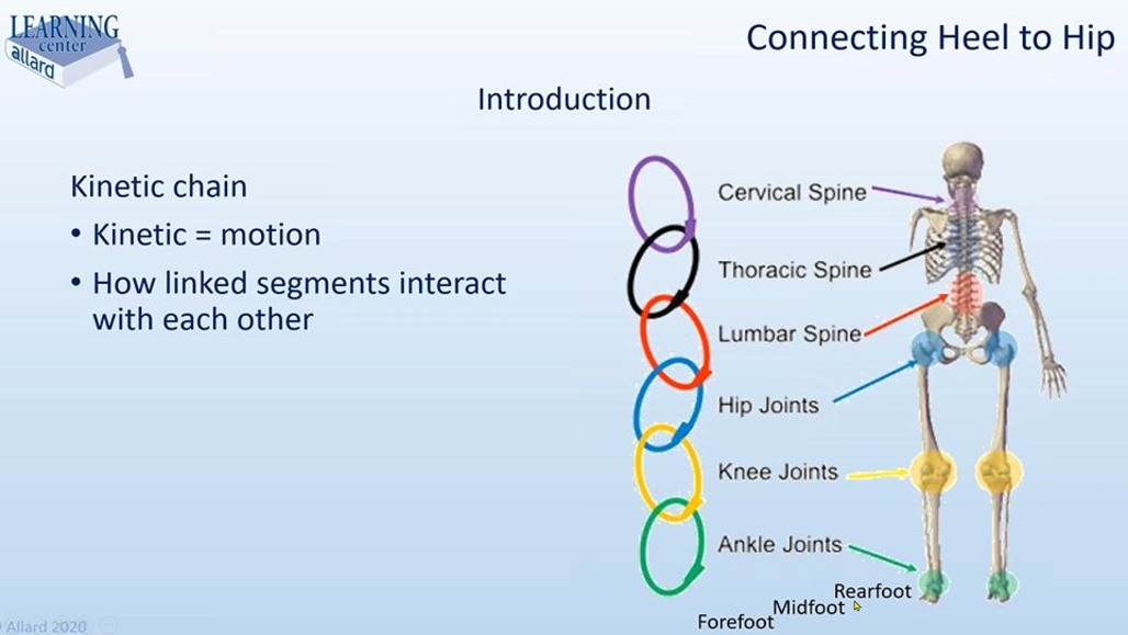 Functional Biomechanics Improve Heel to Hip Linkage to Restore Gait ...